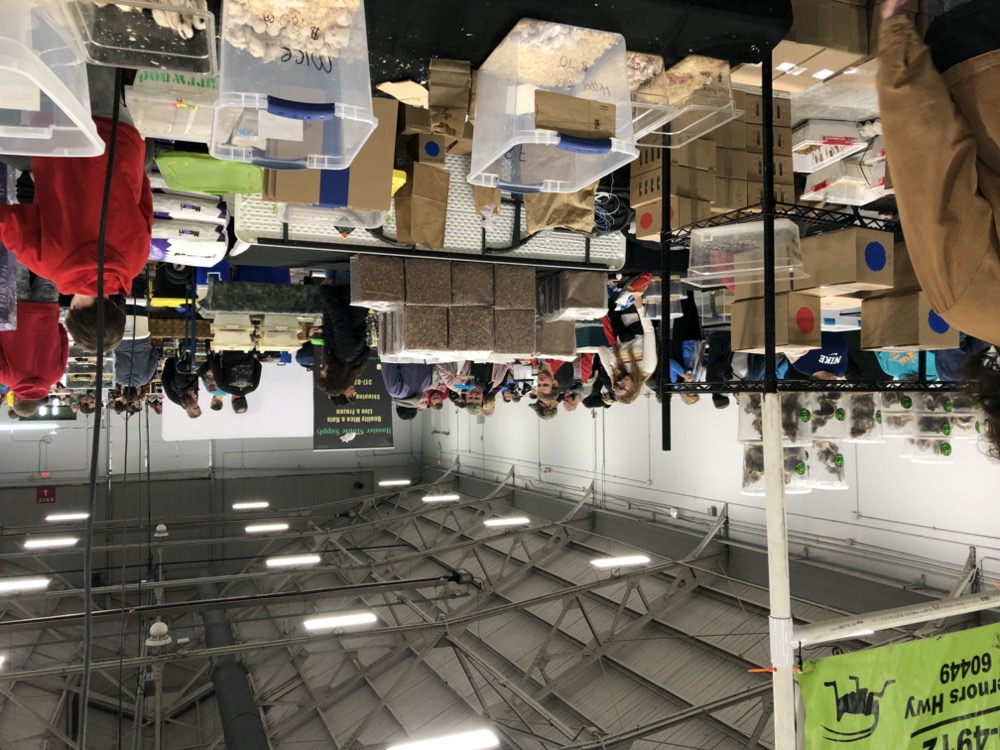 Welcome to the Midwest Reptile Show, Indianapolis, Indiana - Gallery